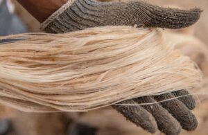 Interloop – Pakistan's Biggest Quality Socks and Hosiery Products ...